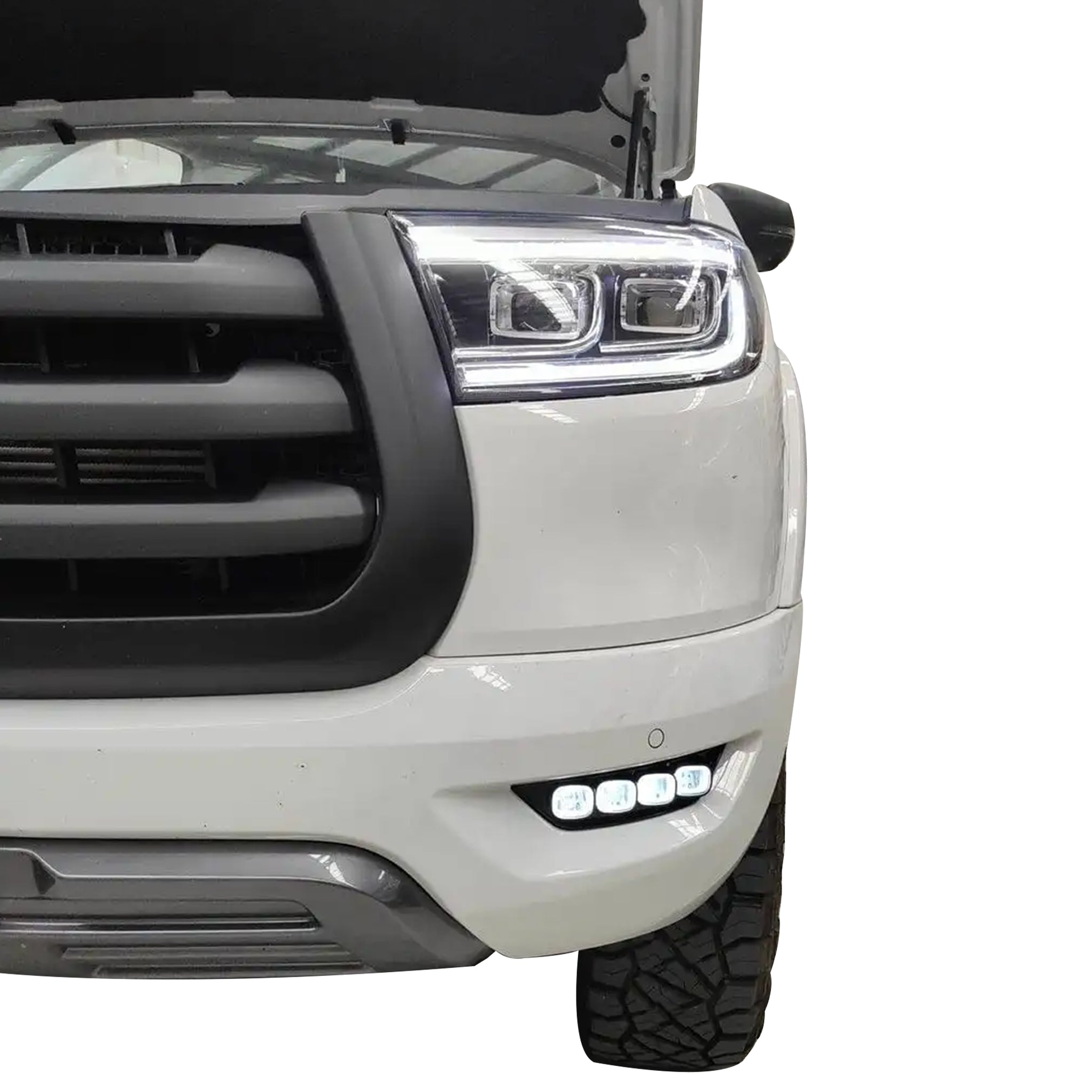 Gwm P-Series LED Fog Lights Passenger — Evorevo4x4